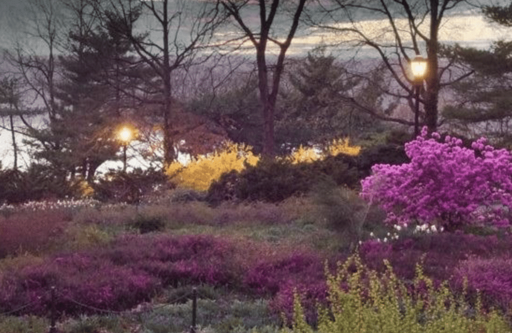 Fort Tryon Park: Heather Garden Monthly Tour - HeightSites